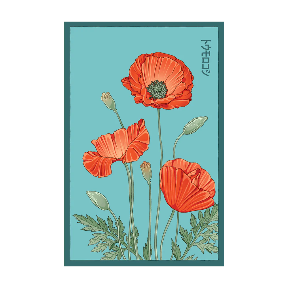 Corn Poppy Flower Seeds – Harmony