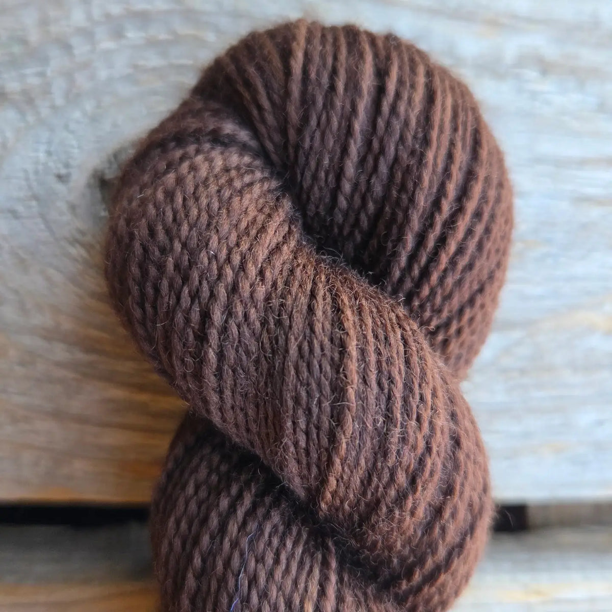 Koigu KPM Semisolids / 5300 – Harmony